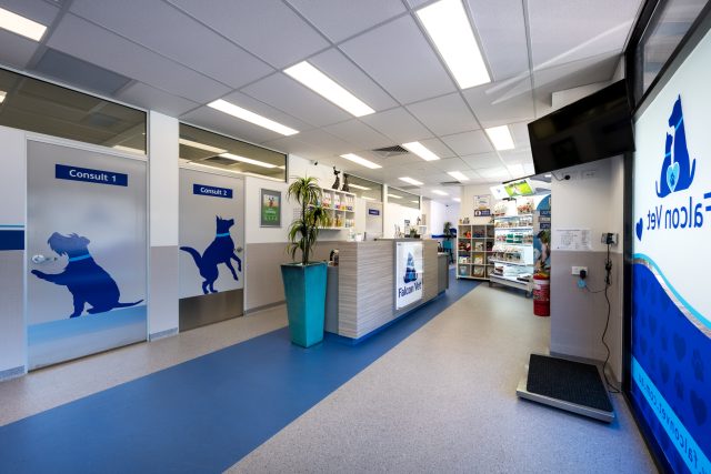 Vet Clinic Fitouts Perth | Professional Veterinary Interior Design