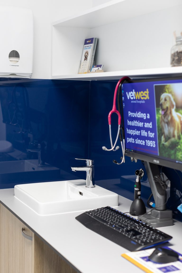 Vet Clinic Fitouts Perth | Professional Veterinary Interior Design