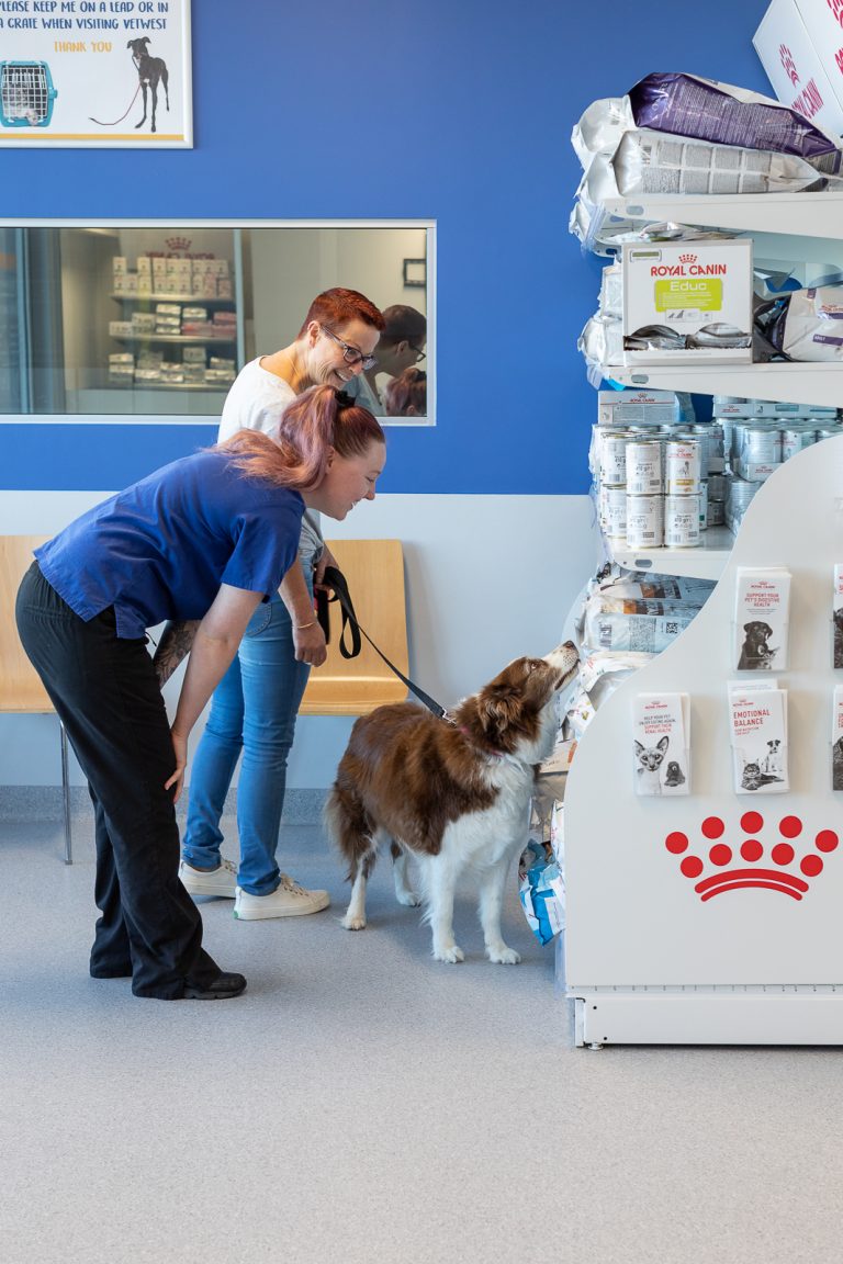 Vet Clinic Fitouts Perth | Veterinary Interior Design