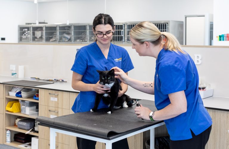 Vet Clinic Fitouts Perth | Veterinary Interior Design